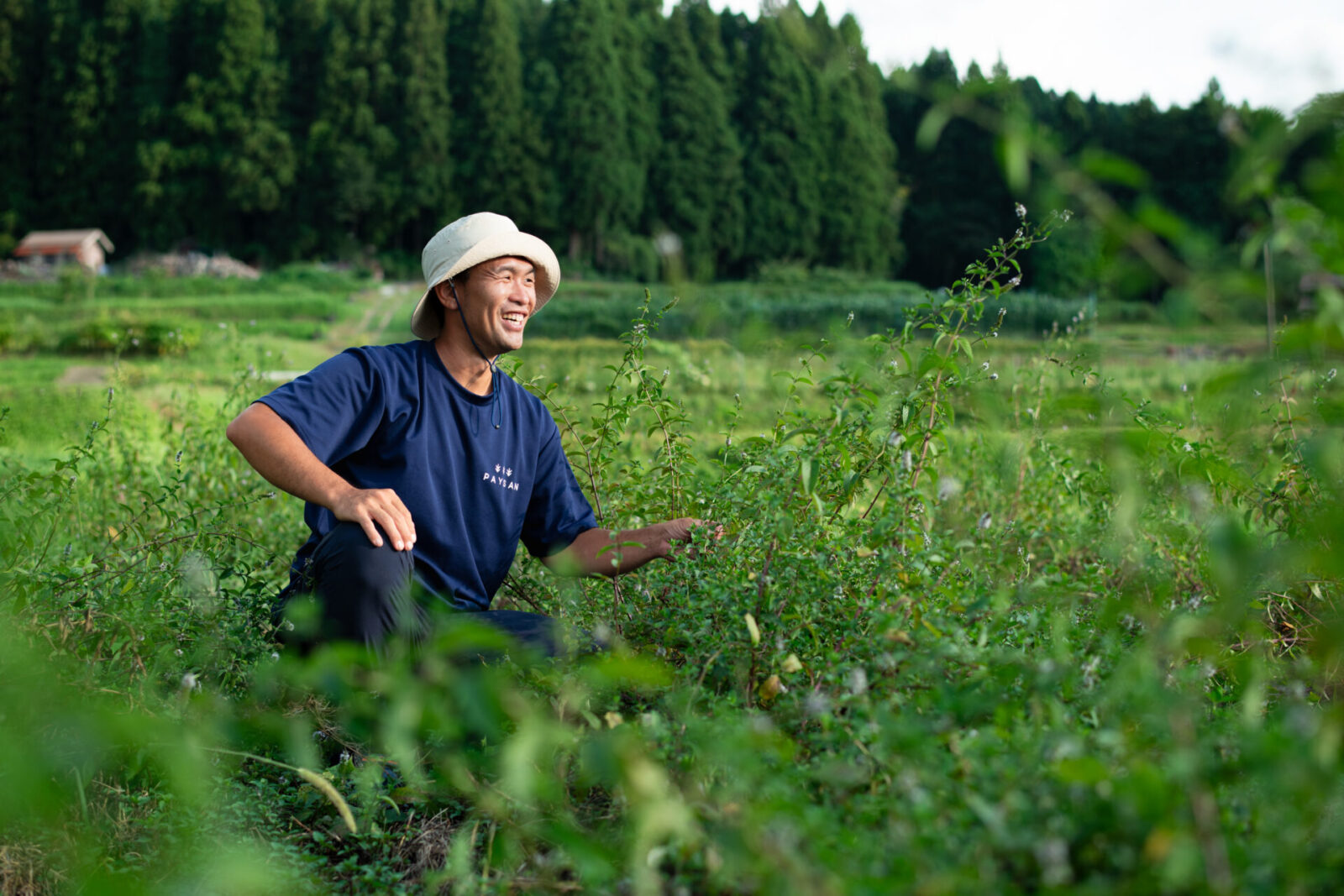 世界の一流バイヤーも魅了。農福連携のハーブ農園「ペザン」のハーブティーが美味しいわけ | DIG THE TEA