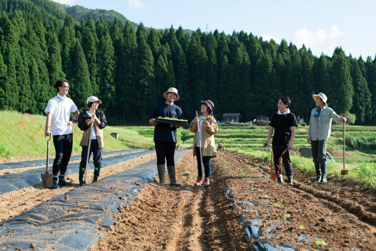 DIG THE TEA、石川の段々畑にハーブを植える。ハーブ農園「ペザン」との共同実験はじまる | DIG THE TEA
