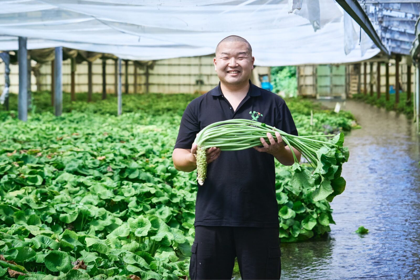 Azumino Wasabi gathering global attention.Fourth generation owner of ...