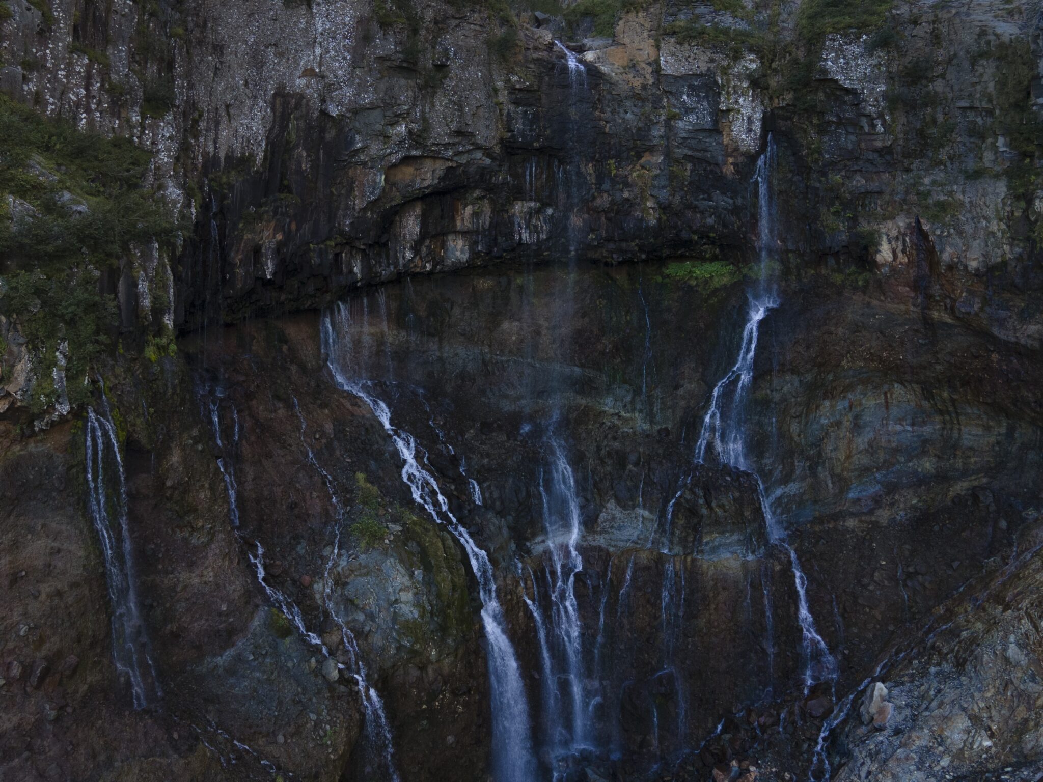 森で木を折ったときの香りを、そのままソーダに。「QINO SODA」は“木の使いみち”を拡張し、山と水をつなぐ | DIG THE TEA